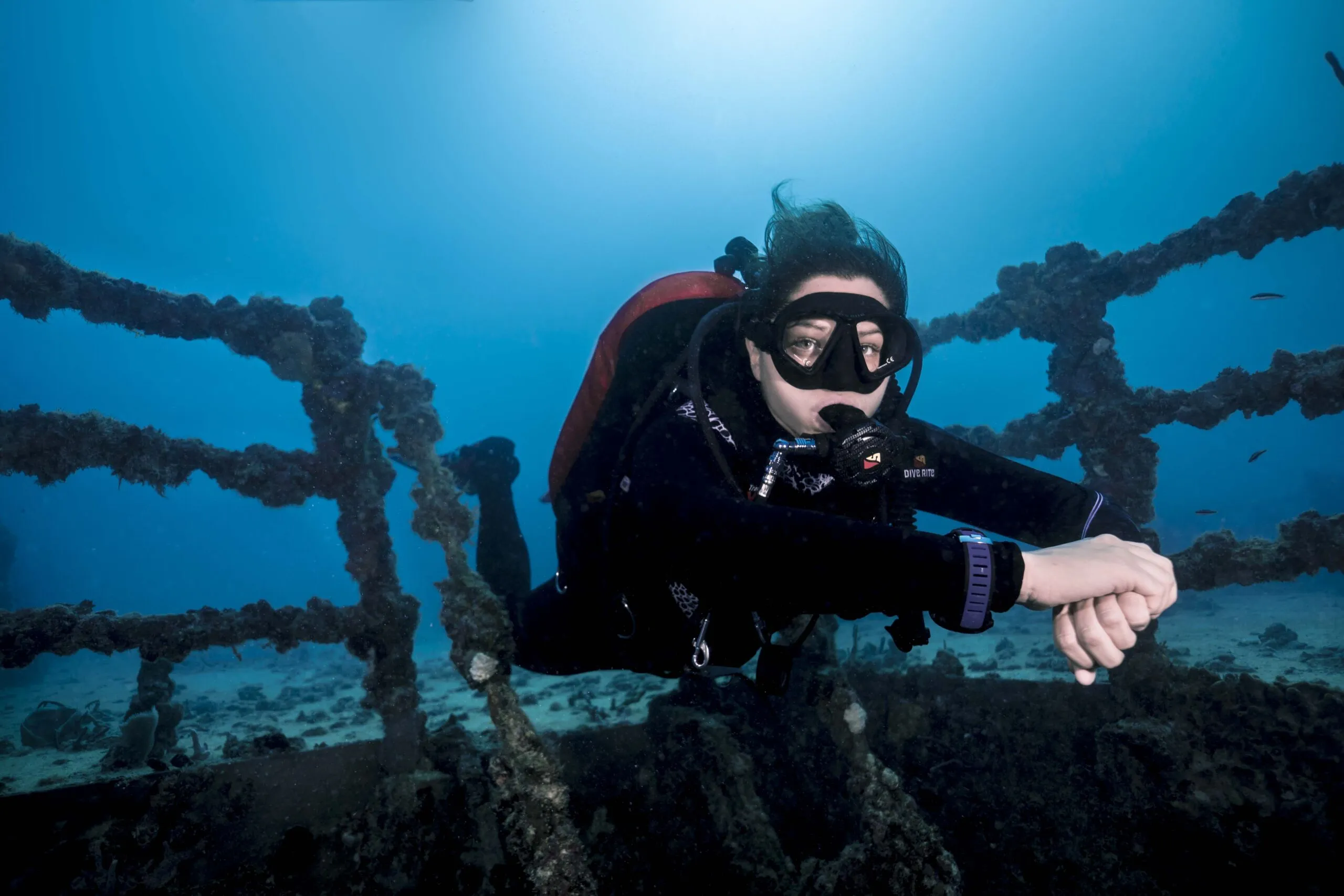 Deep Diver | SDI | Courses | Divegen