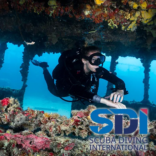 Sidemount Diver | TDI | Courses | Divegen